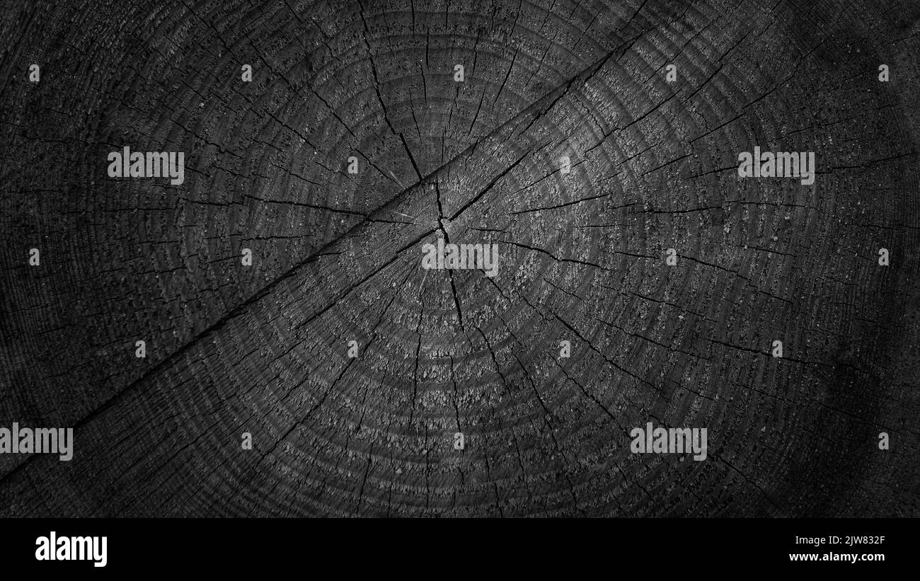 Dark black Sawed wood natural wooden background Cut surface of an old ...