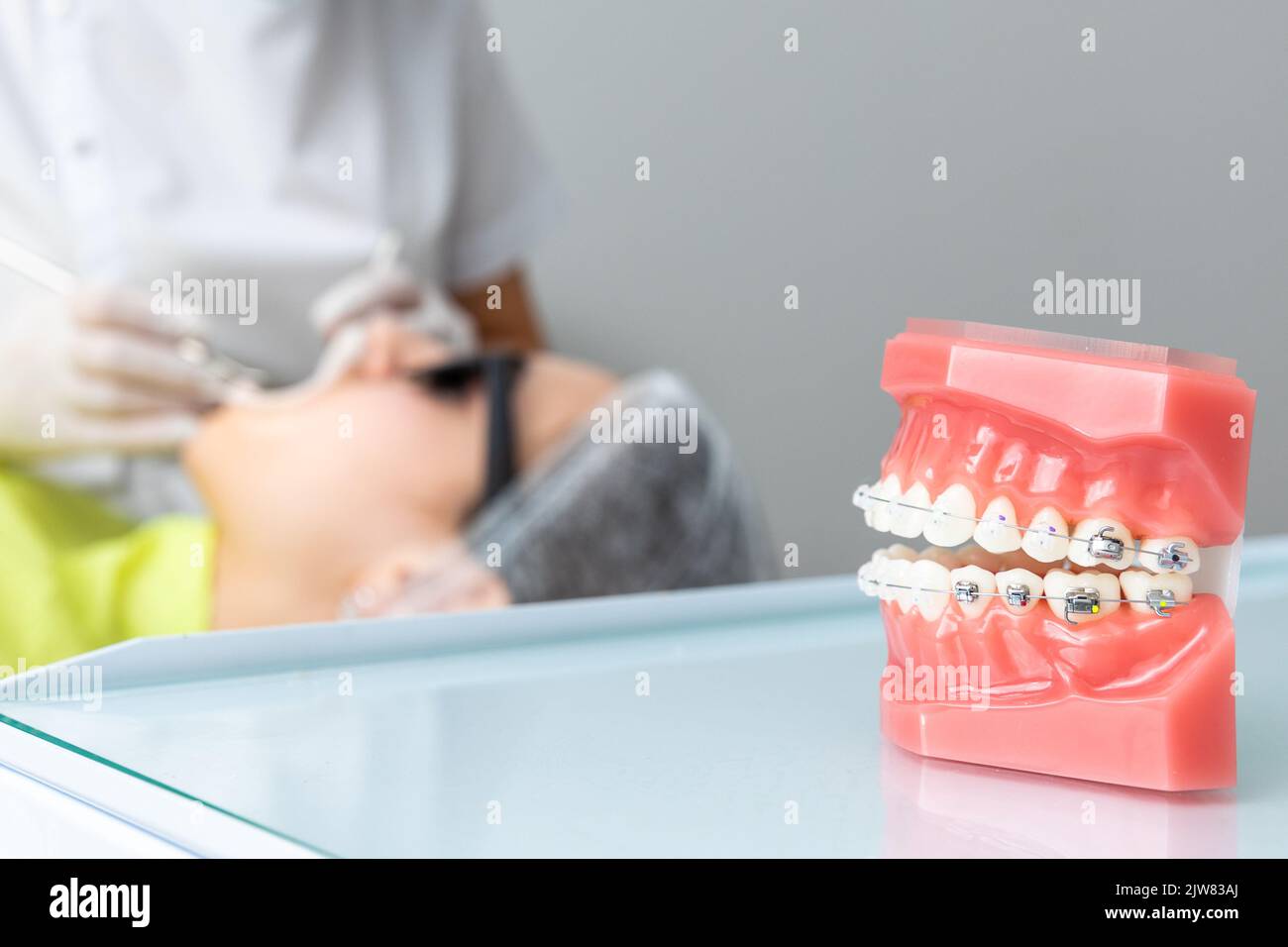 Orthodontic model and dentist tool. Teeth model of varities of ...