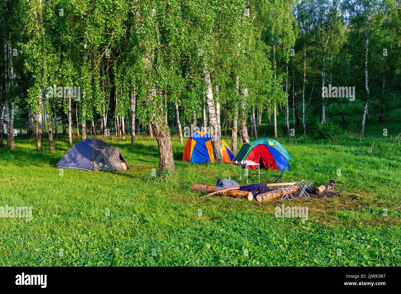 Early morning in the forest with tourist tents and a table. travel ...