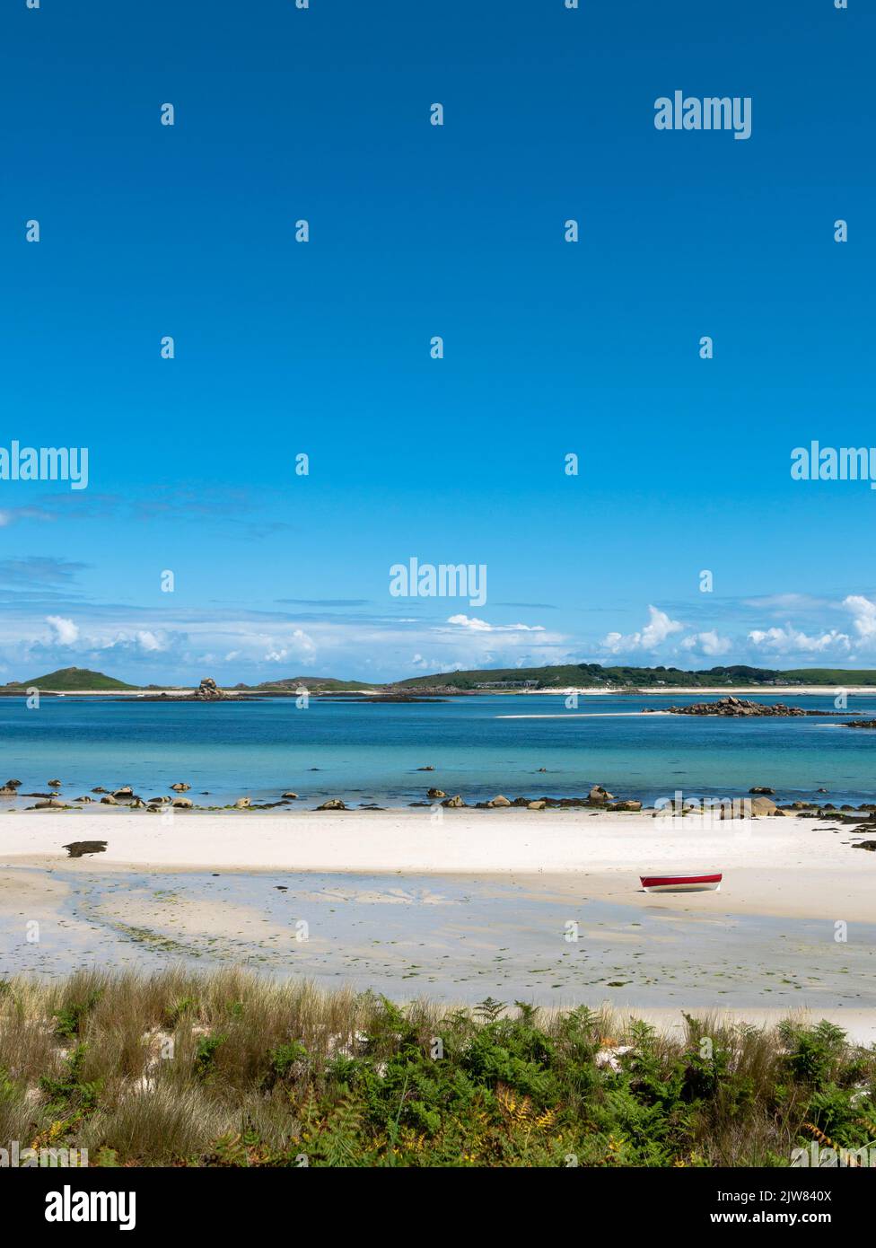 White sand beach, Tresco, Isles of Scilly, Cornwall, England, UK Stock ...