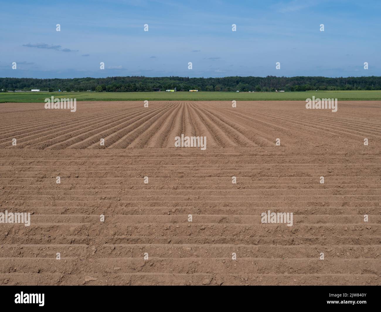 A ridge and furrow ploughed agricultural field Stock Photo - Alamy