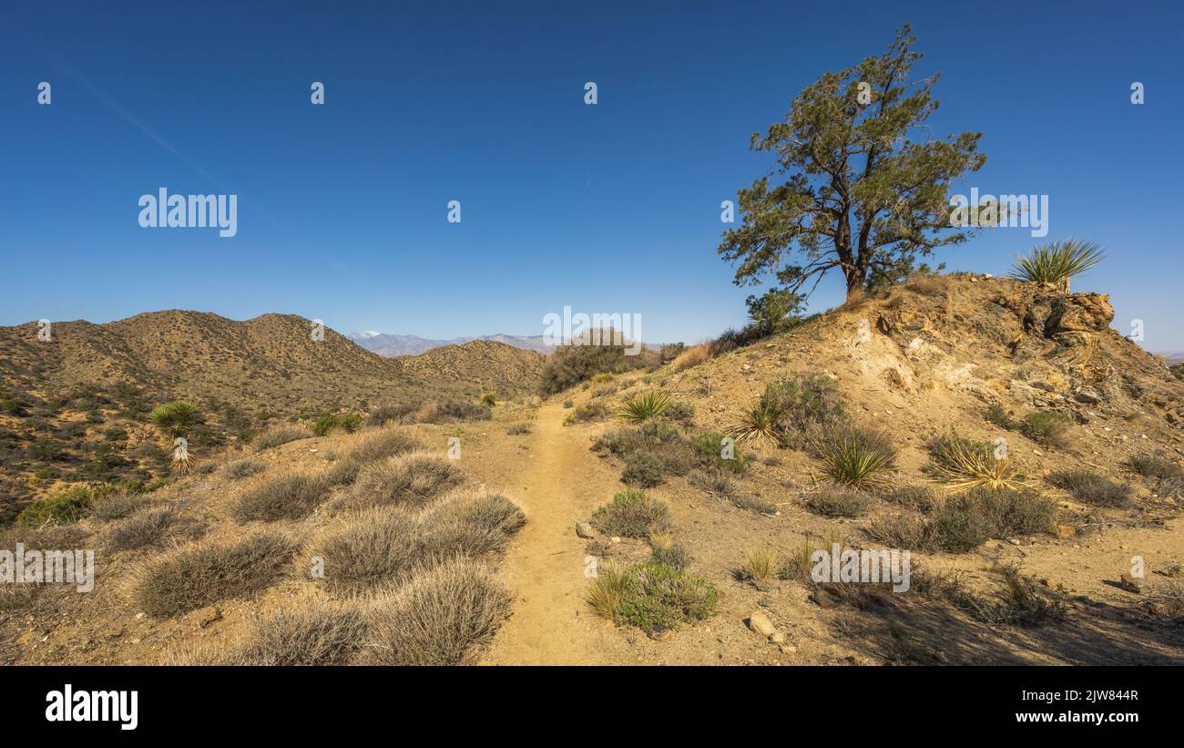hiking the west side loop trail in black rock canyon, joshua tree ...