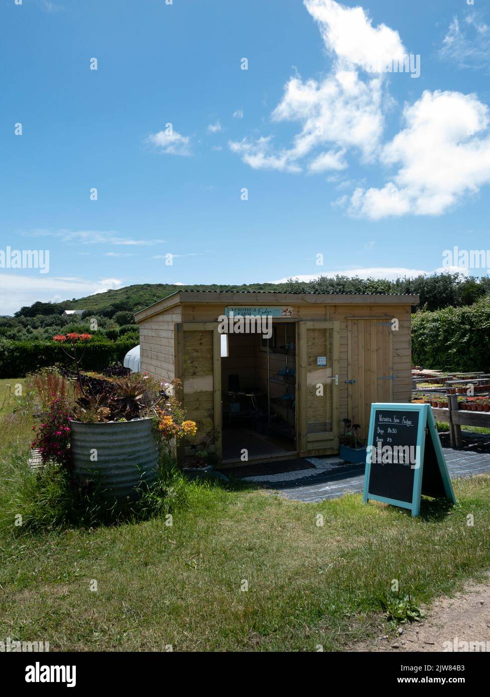 Fudge stall, Veronica Farm, Bryher, Isles of Scilly, Cornwall, England ...