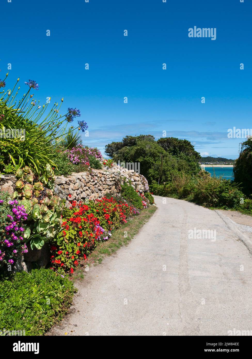 Bryher, Isles of Scilly, Cornwall, England, UK Stock Photo - Alamy