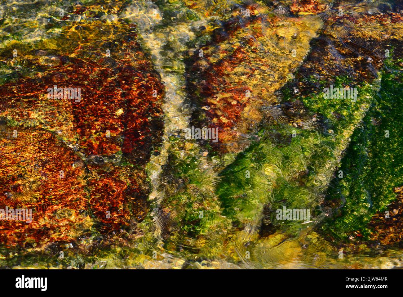 Impressionist painting on the shores of the Ocean Stock Photo - Alamy