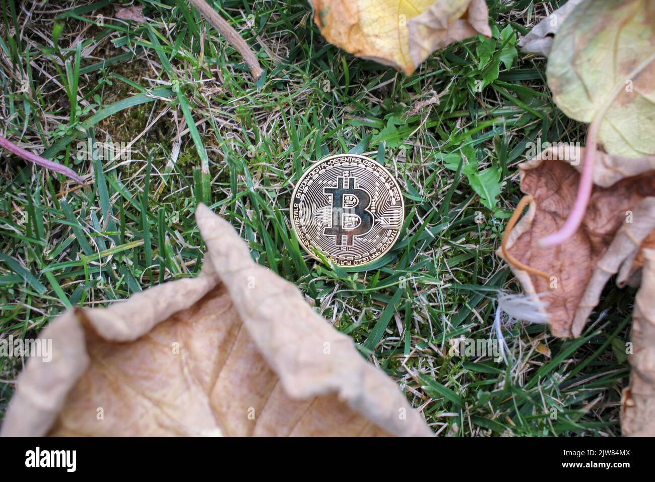 Bitcoin skyrocket hi-res stock photography and images - Alamy