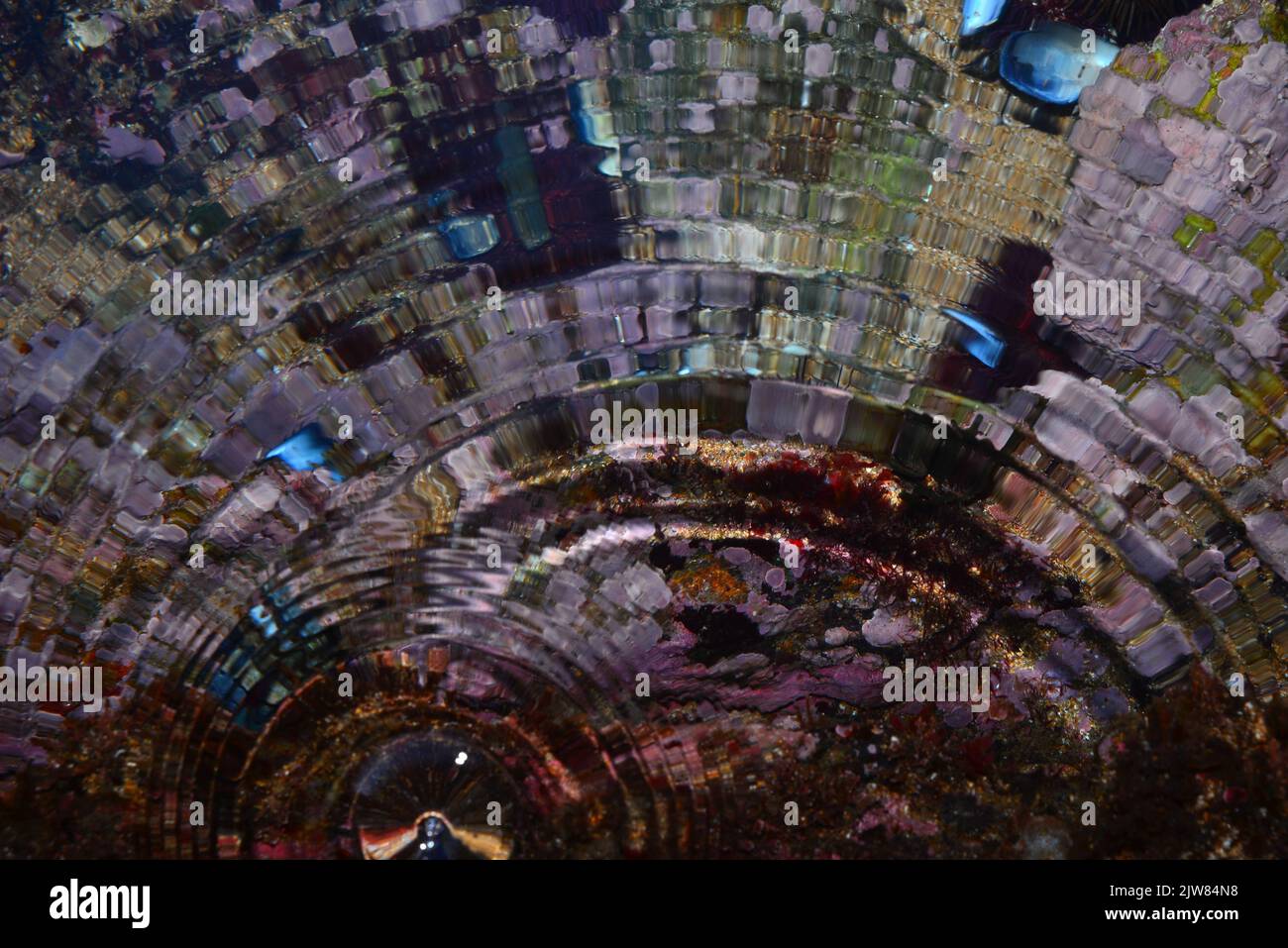 Two superimposed series of concentric waves illustrating the phenomena ...
