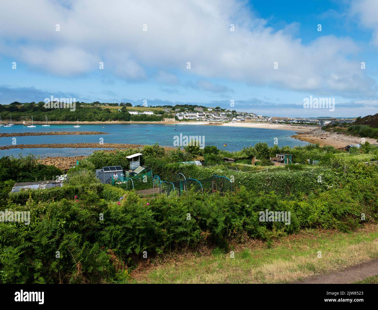 View over allotments to Porthcressa Beach, St Mary's, Isles of Scilly ...