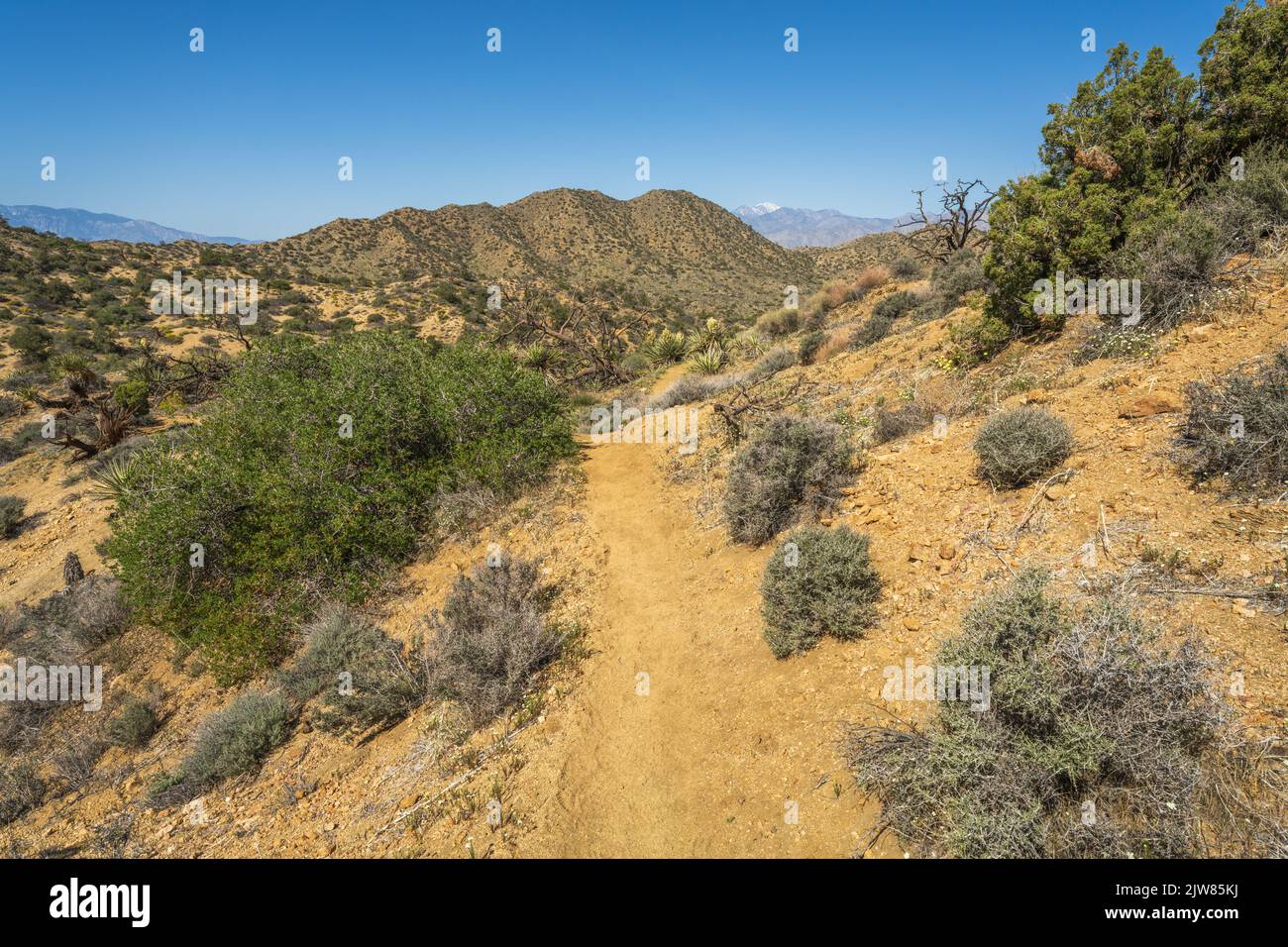 hiking the west side loop trail in black rock canyon, joshua tree ...