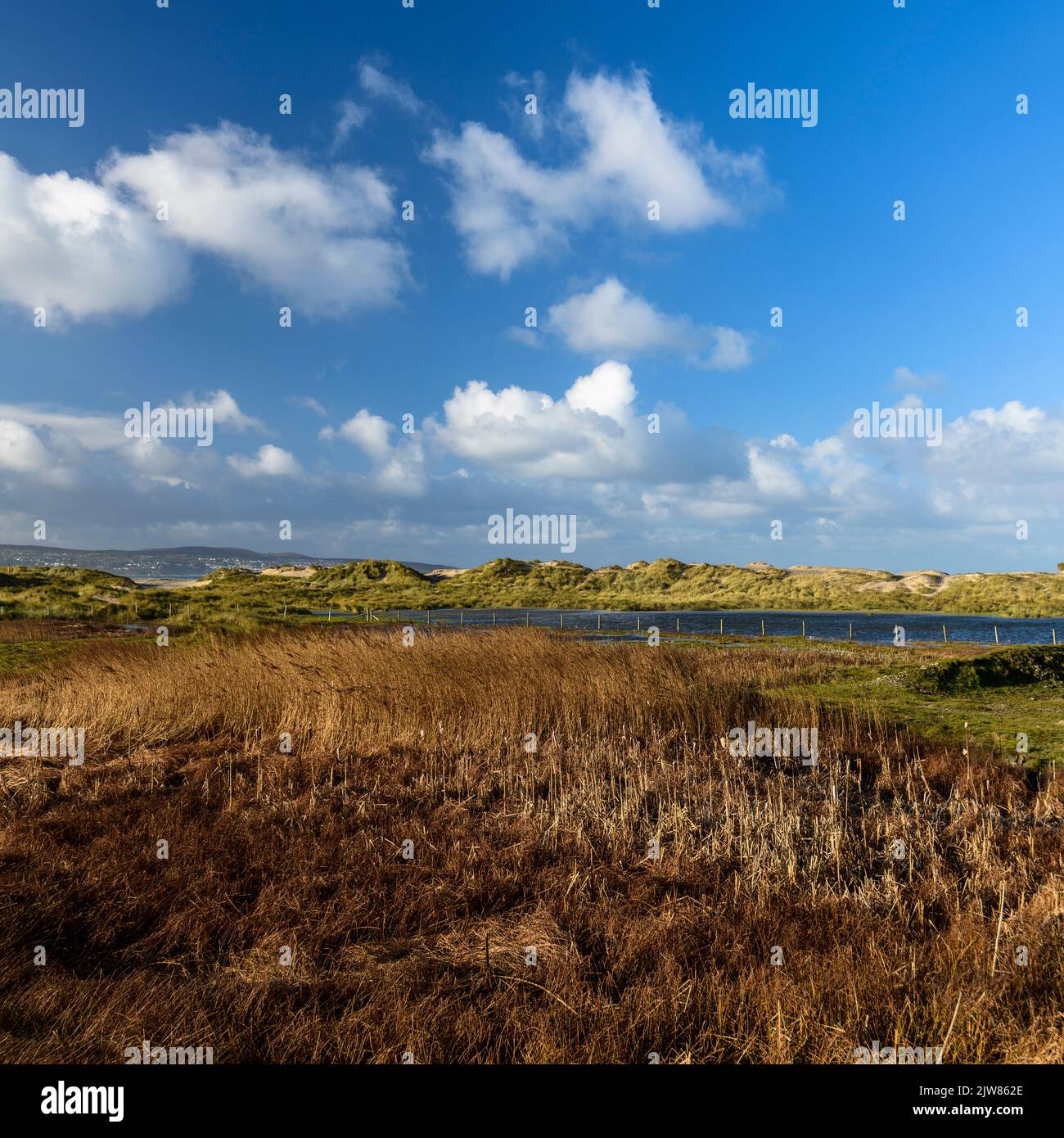Godrevy lighthouse National Trust Stock Photo - Alamy