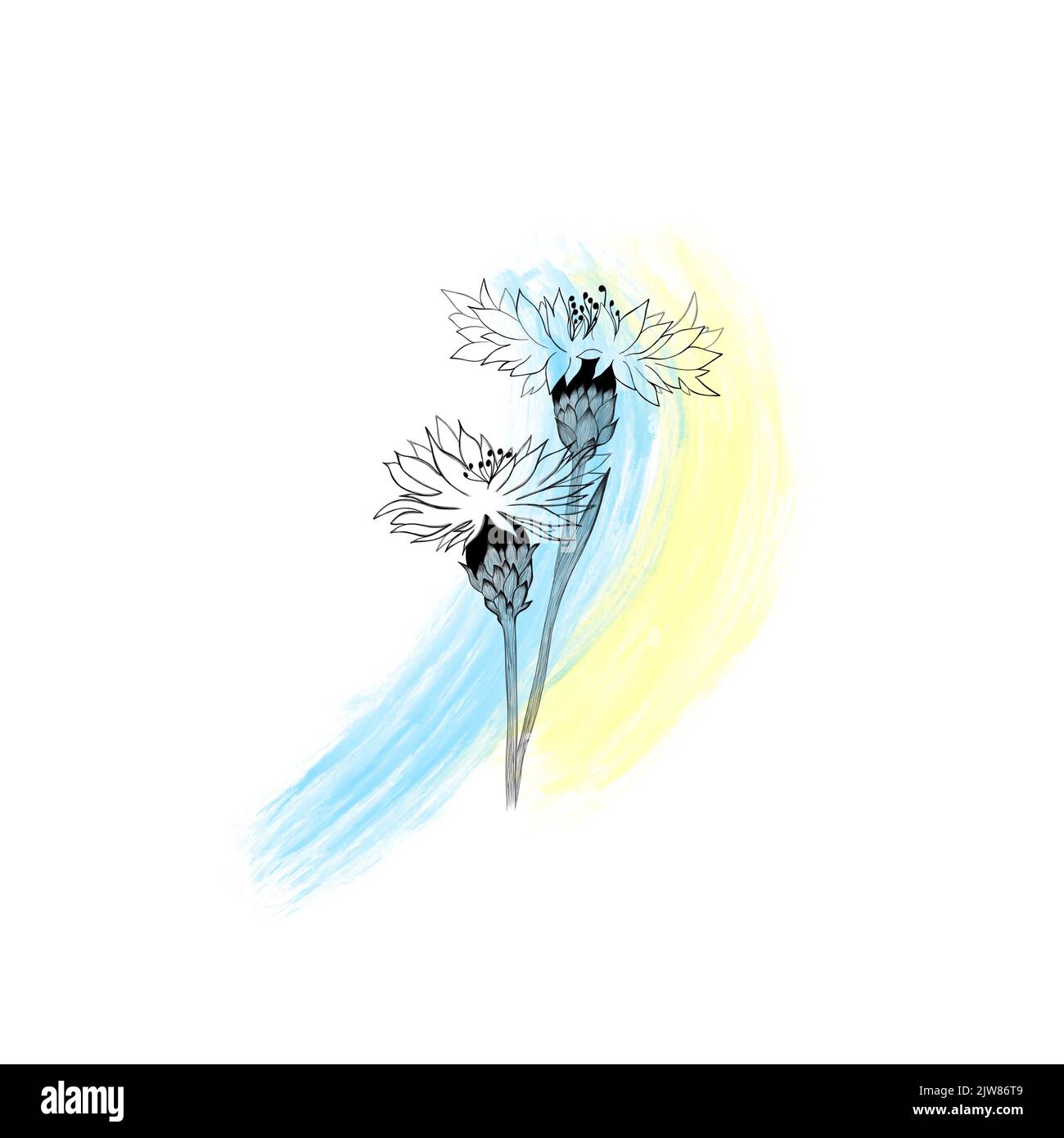 Ukrainian national patriotic illustration, yellow-blue flag of ukraine ...