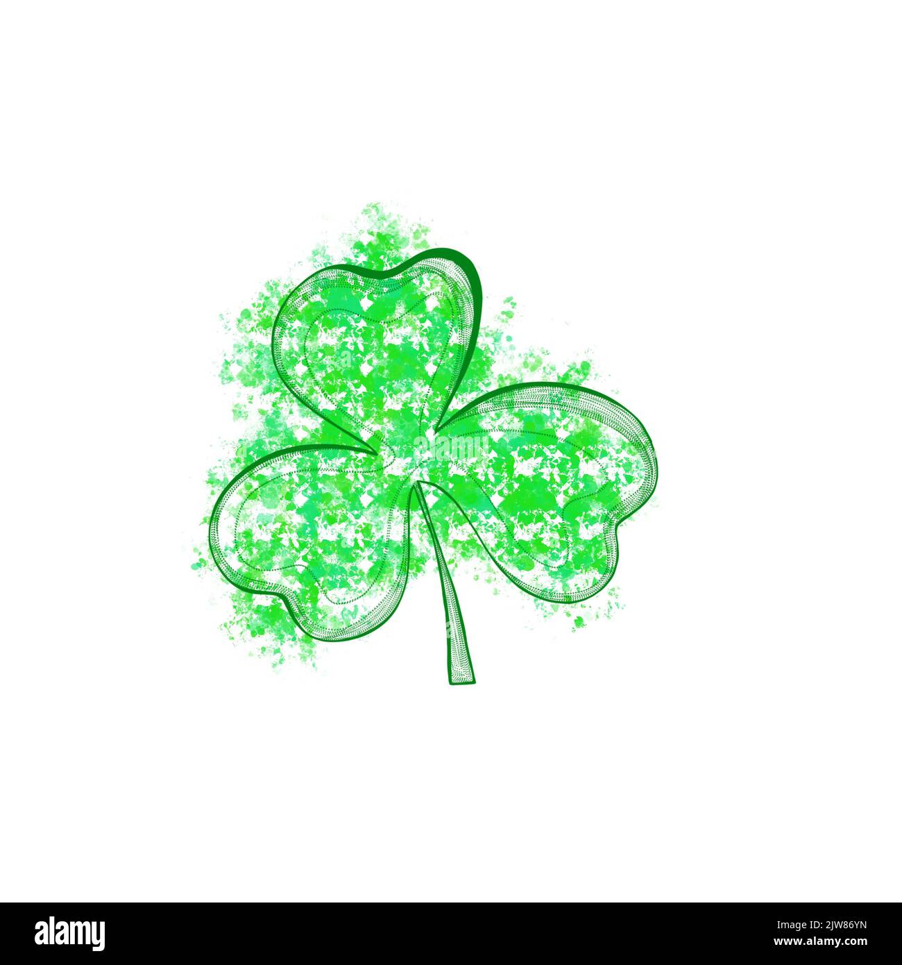 detailed sketch of a clover plant. botanical design template Stock ...