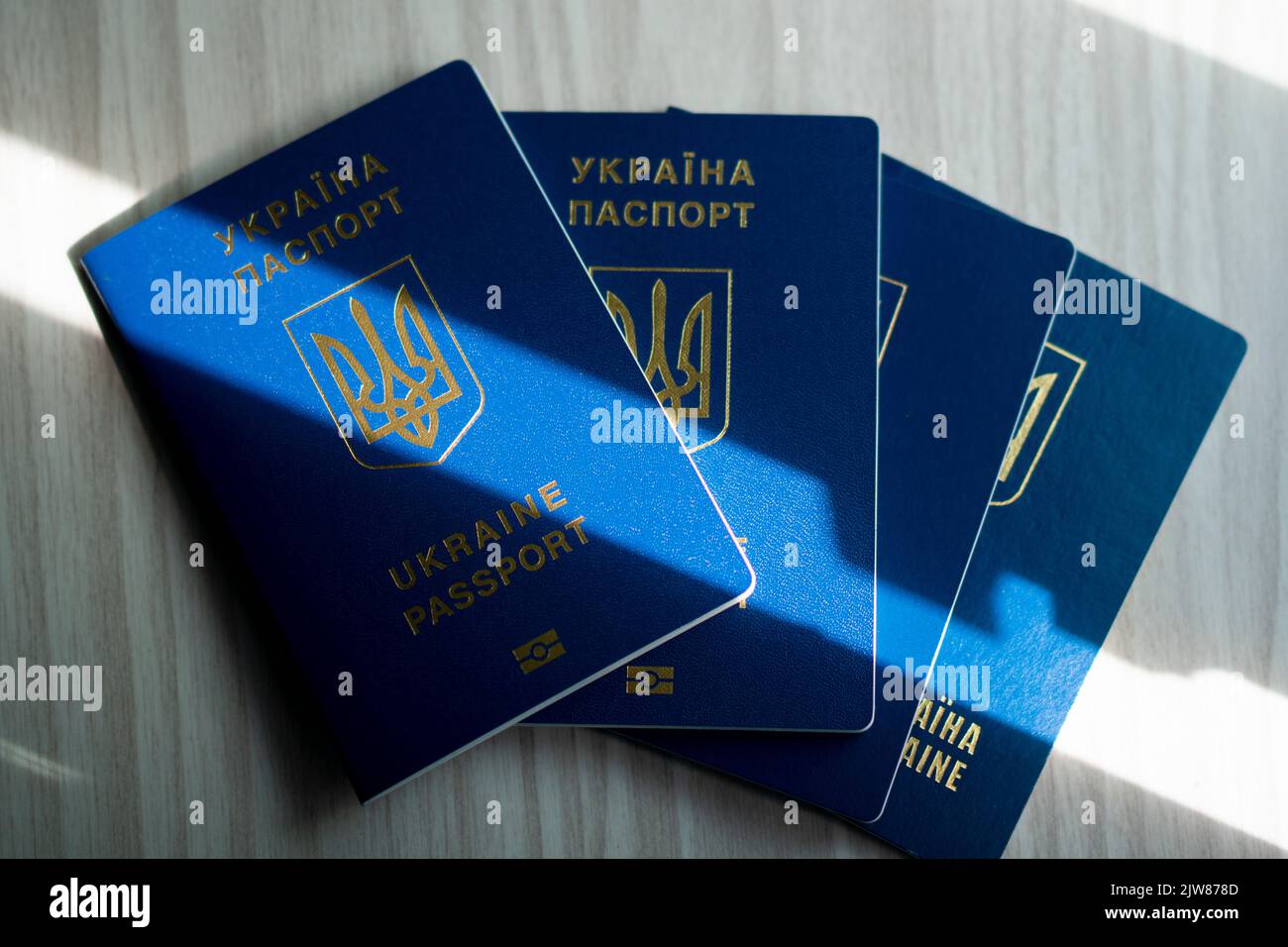 New ukrainian blue biometric passport with identification chip Stock ...
