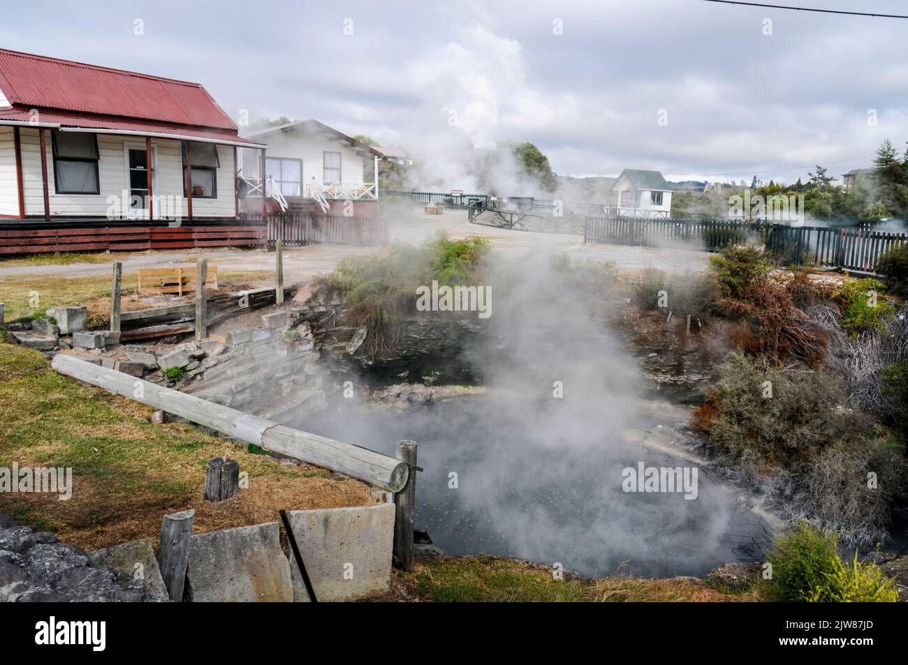 Steam rising from a hot spring in a small garden in front of a Maori ...