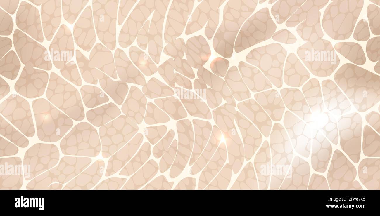 Empty beige swimming pool top view seamless texture with sunlight glare ...