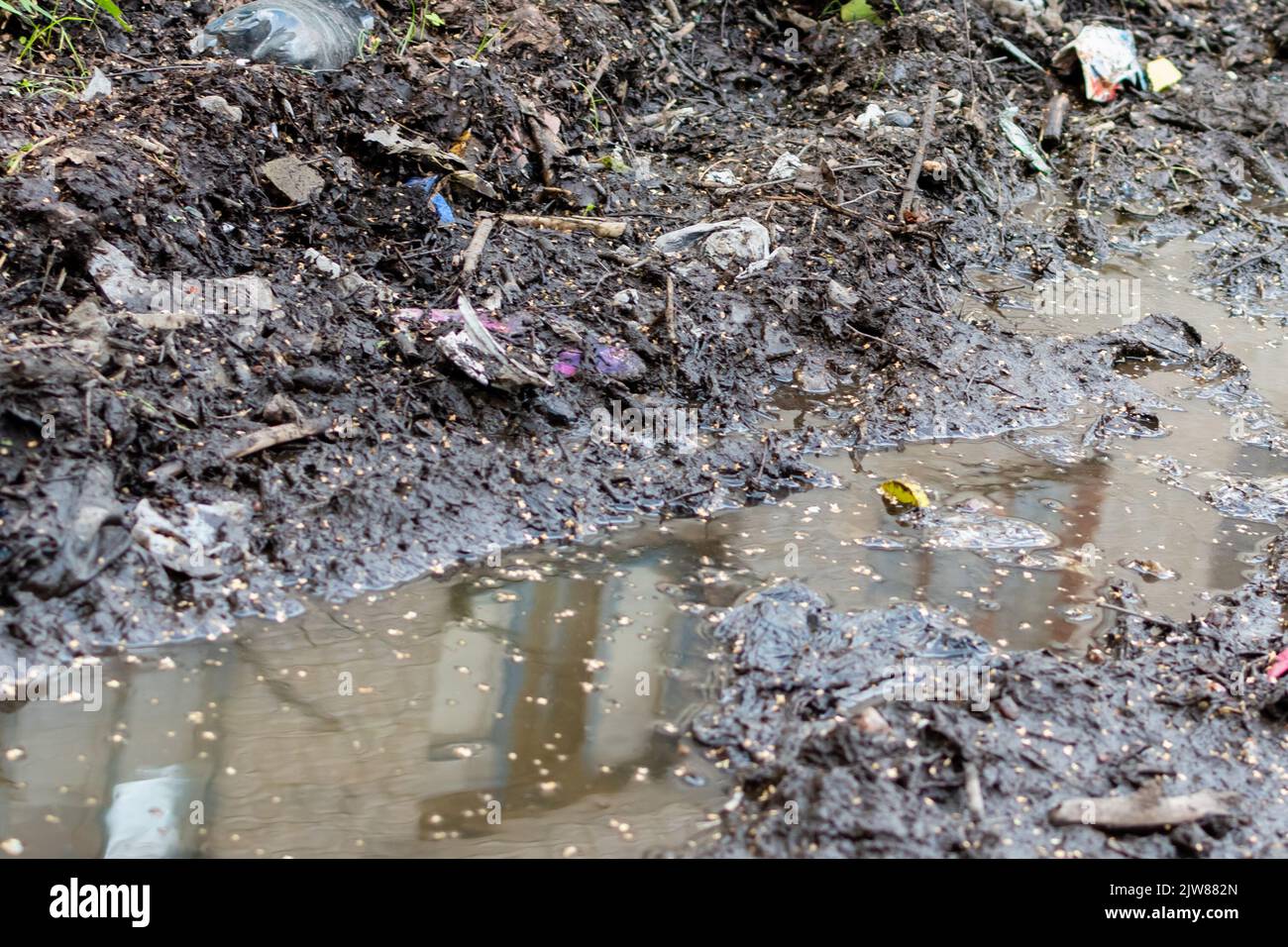 Liquid mud of urban garbage with blurry reflection of windows of house ...