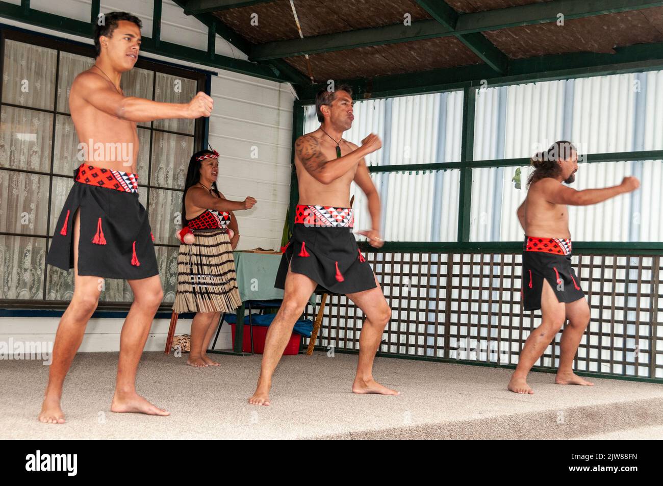 Maori dancers dressed in their traditional dance dress at a cultural ...