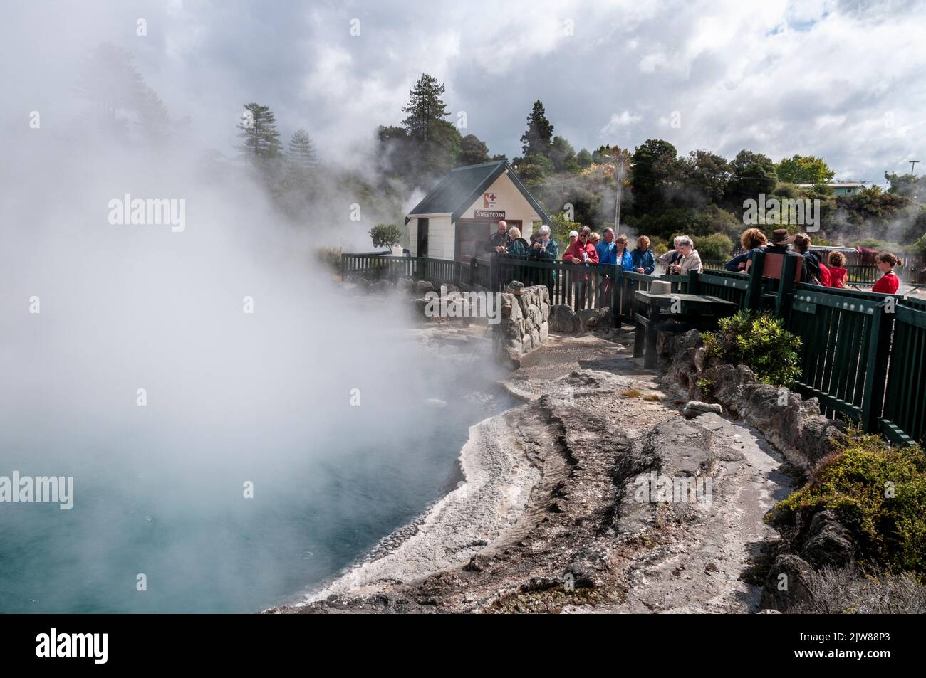 Visitors beside a boiling spring where Maori food is steamed and cooked ...
