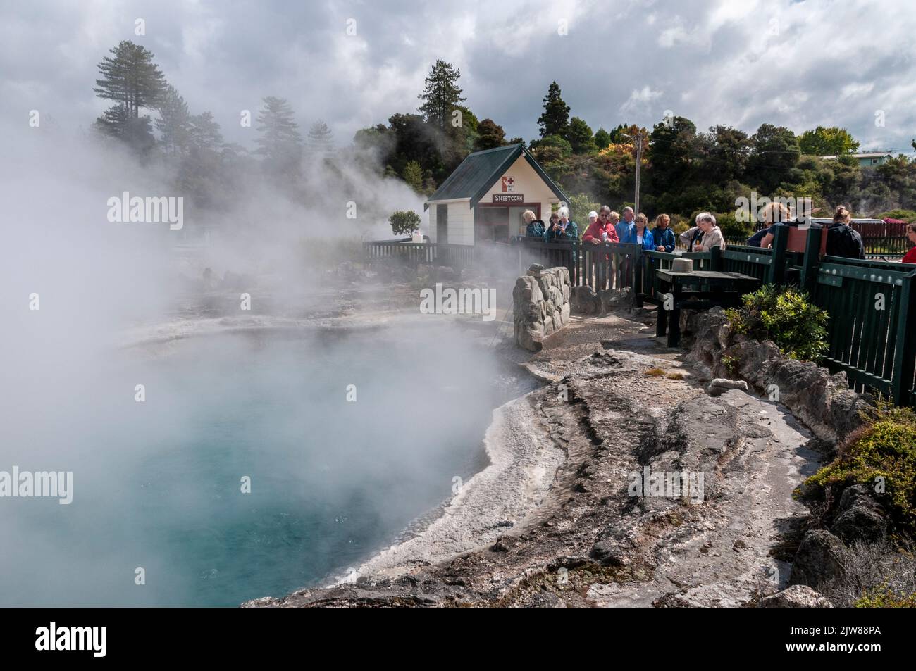 Visitors beside a boiling spring where Maori food is steamed and cooked ...