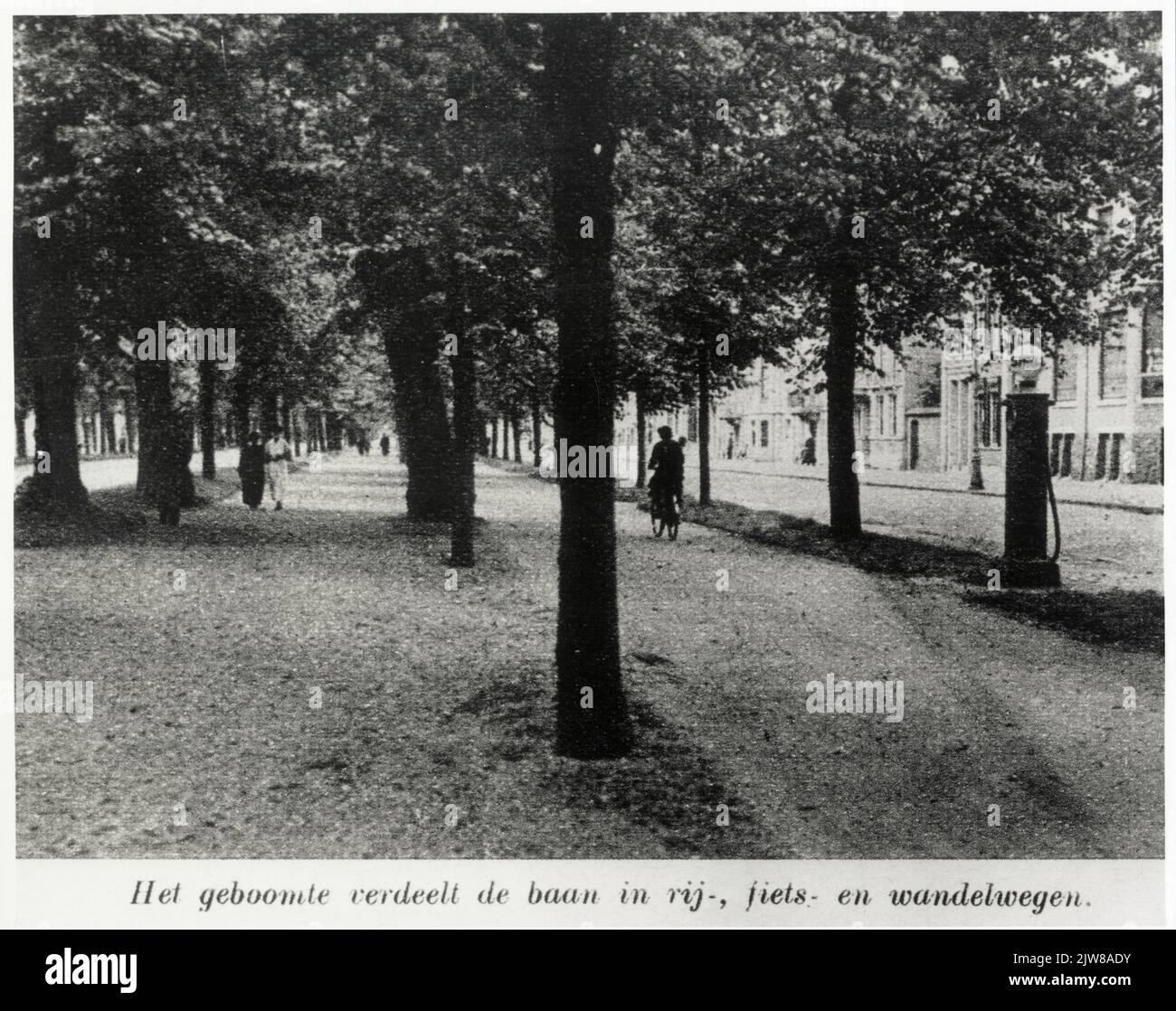 Face in the Maliebaan in Utrecht, from the northeast, between origin ...