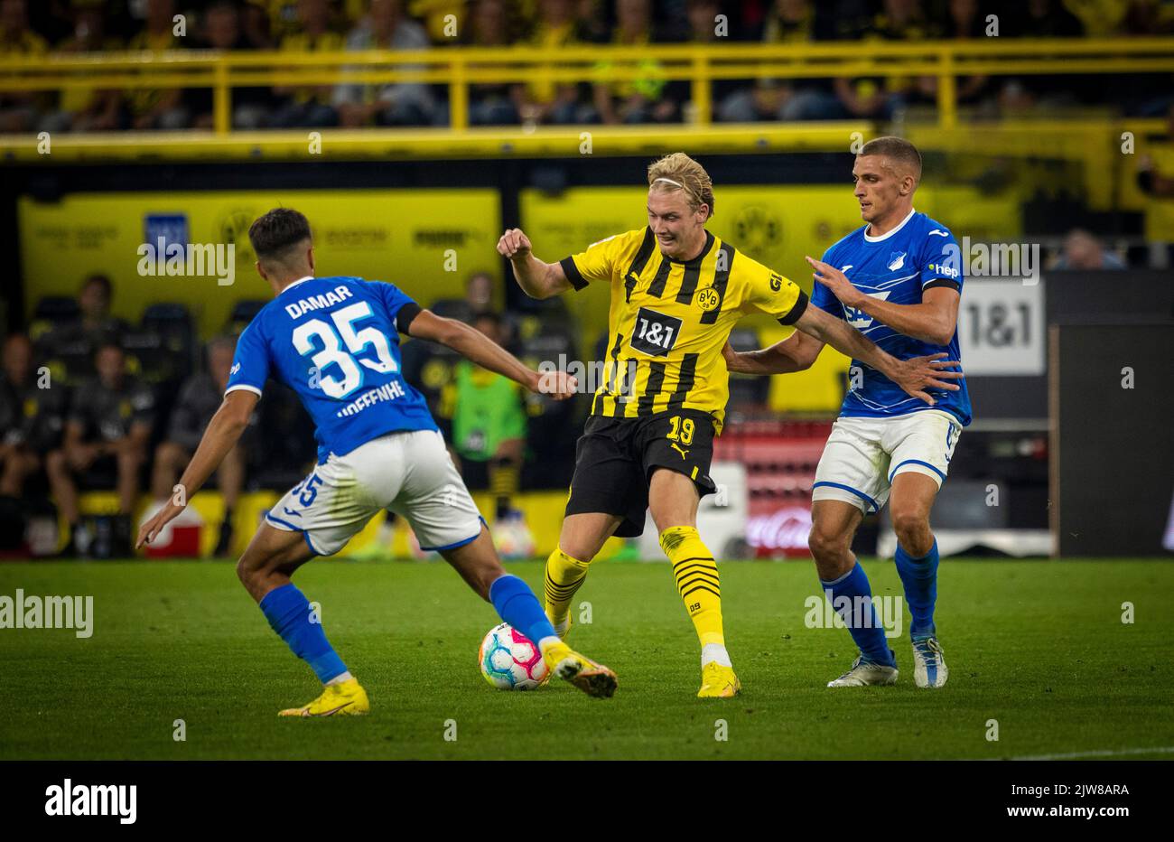 Julian Brandt (BVB), Muhammed Damar und Grischa Prömel (1899) Borussia ...