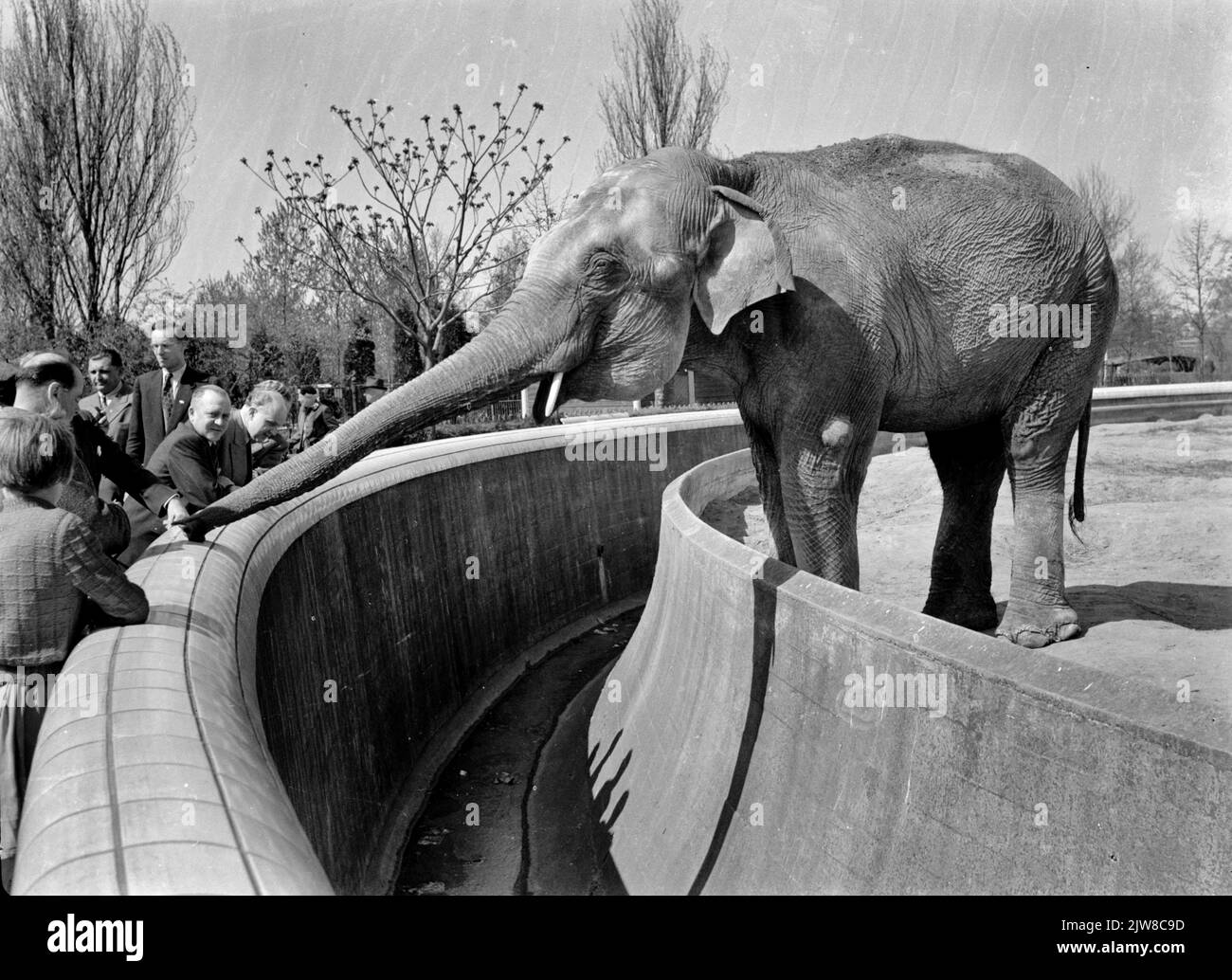 Image of transferring a car load box from N.S. To a truck Stock Photo ...