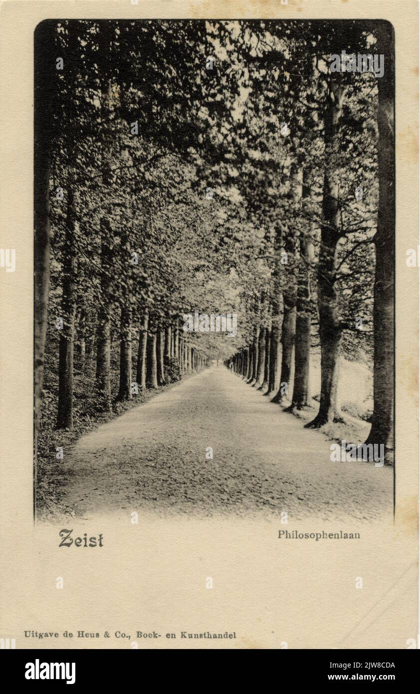 City map neighborhoods hi-res stock photography and images - Alamy