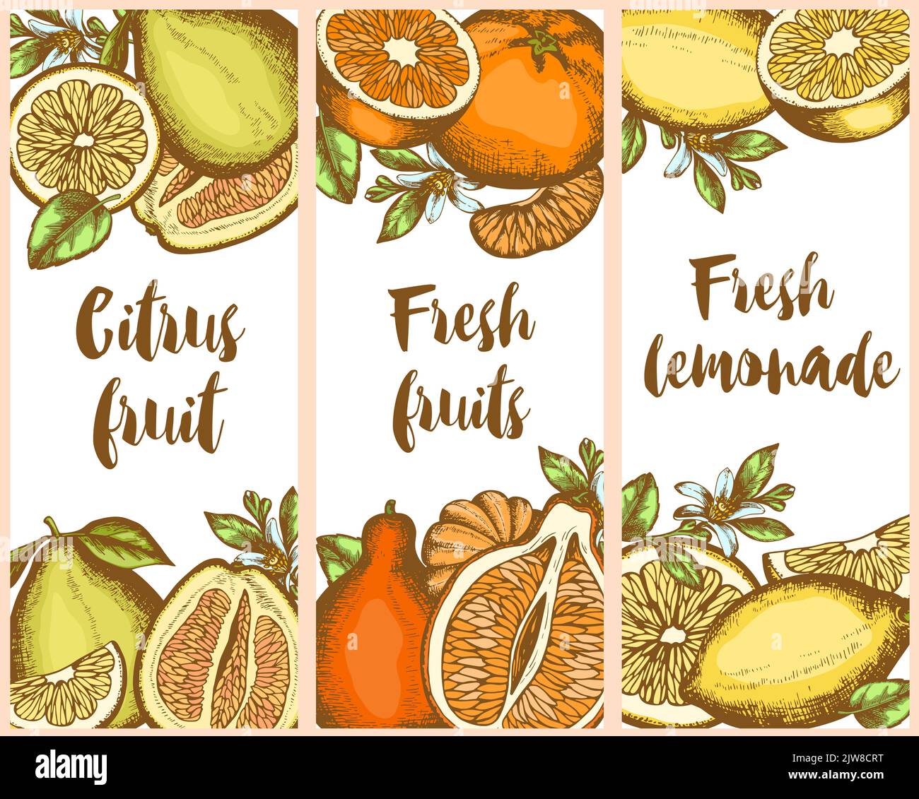 Vintage hand drawn vertical labels with citrus fruits on a white ...