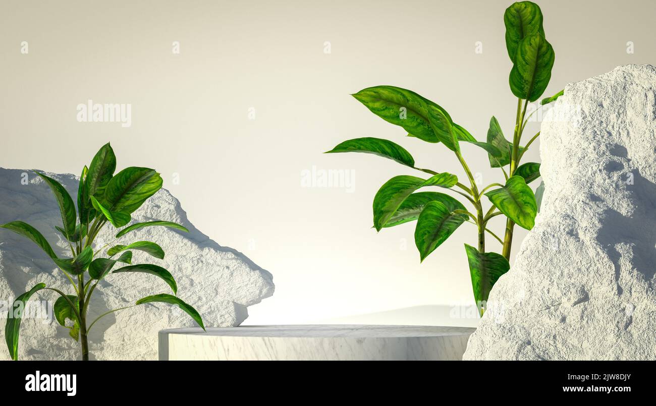 3d background product display presentation with white rocks and ...