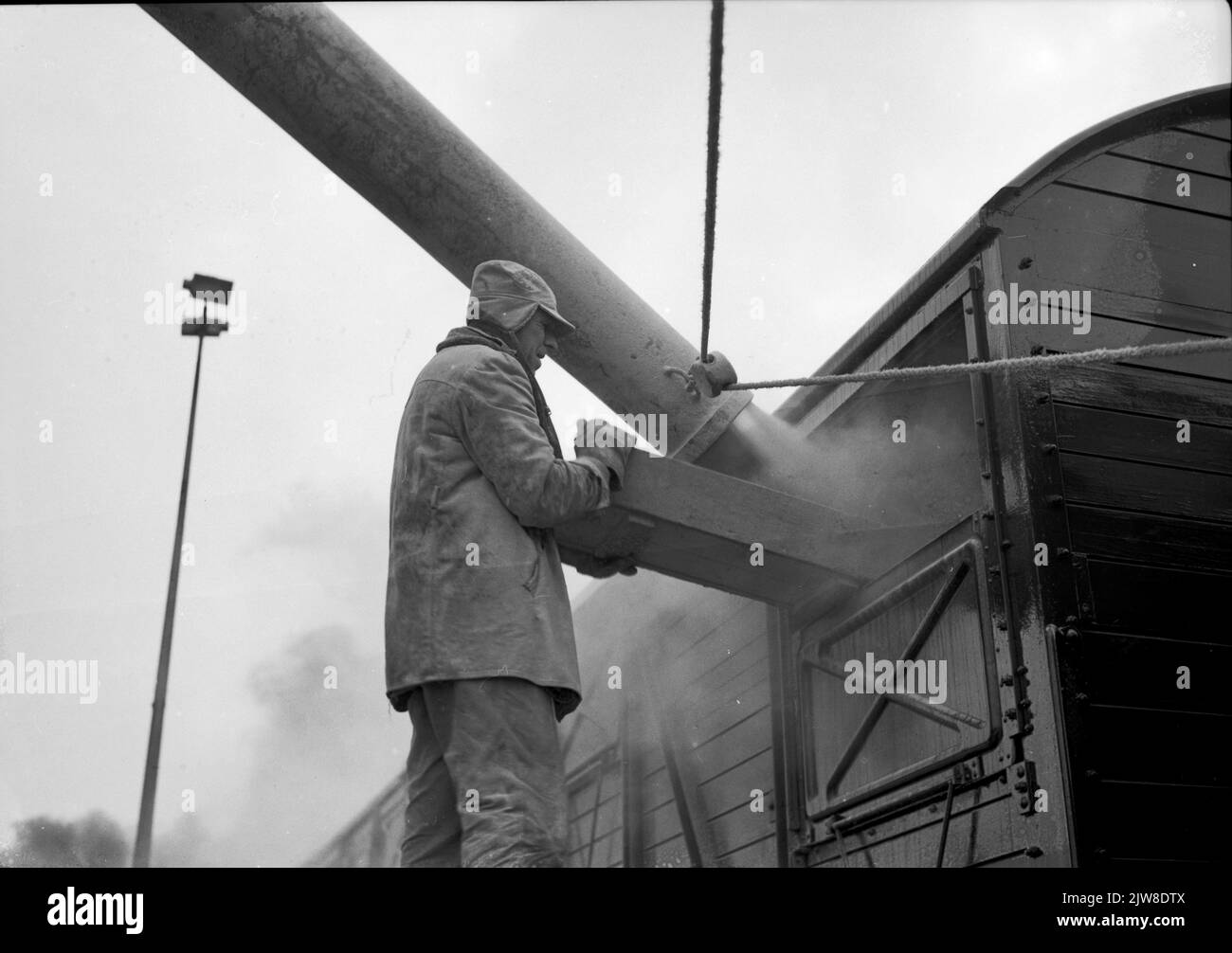 Image of overflowing grain in closed freight wagons of the N.S. in ...