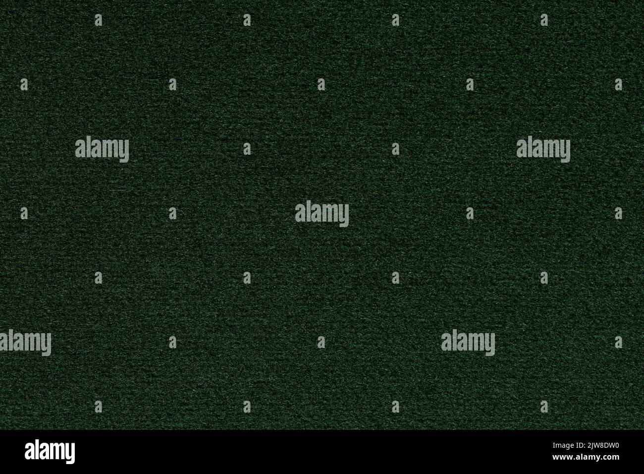 Very dark green colour hi-res stock photography and images - Alamy
