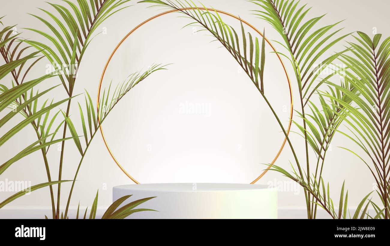 3d background product display presentation with white rocks and ...