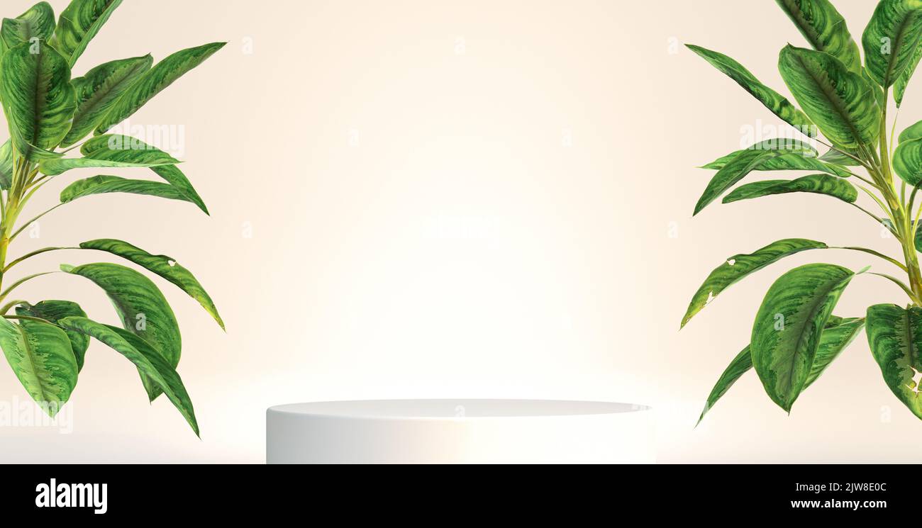 3d background product display presentation with white rocks and ...