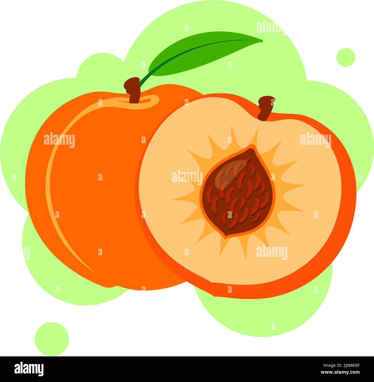 Fresh peach icon vector illustration. Peach isolated on white ...