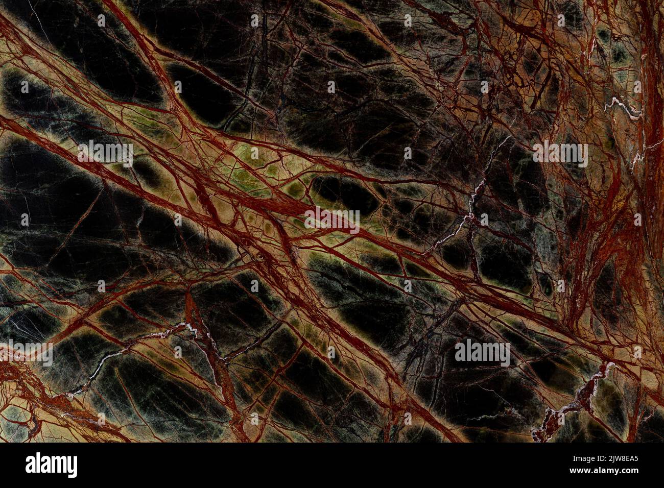 Rainforest green marble hi-res stock photography and images - Alamy