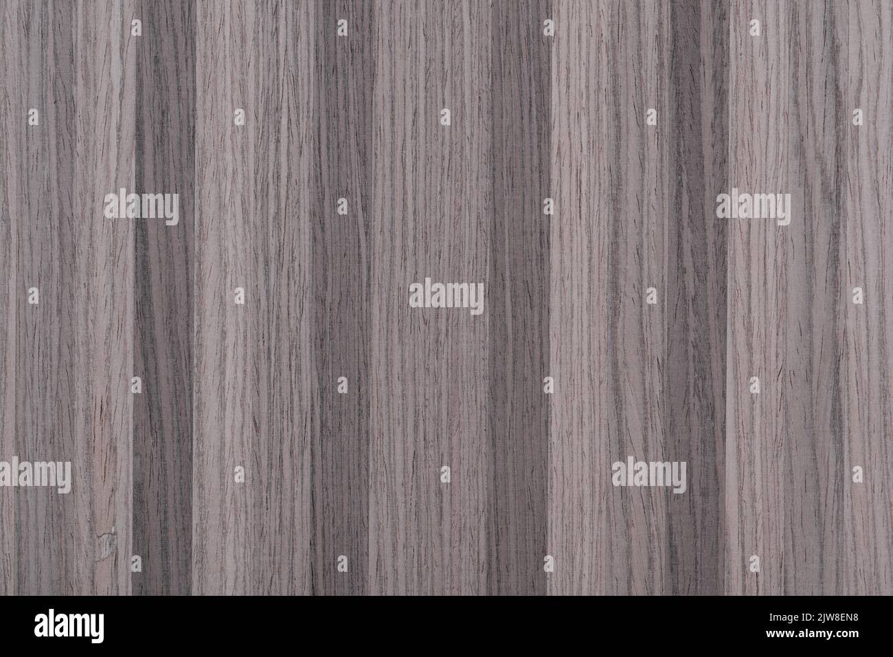 Grey veneer background with unique surface. High quality wooden texture ...