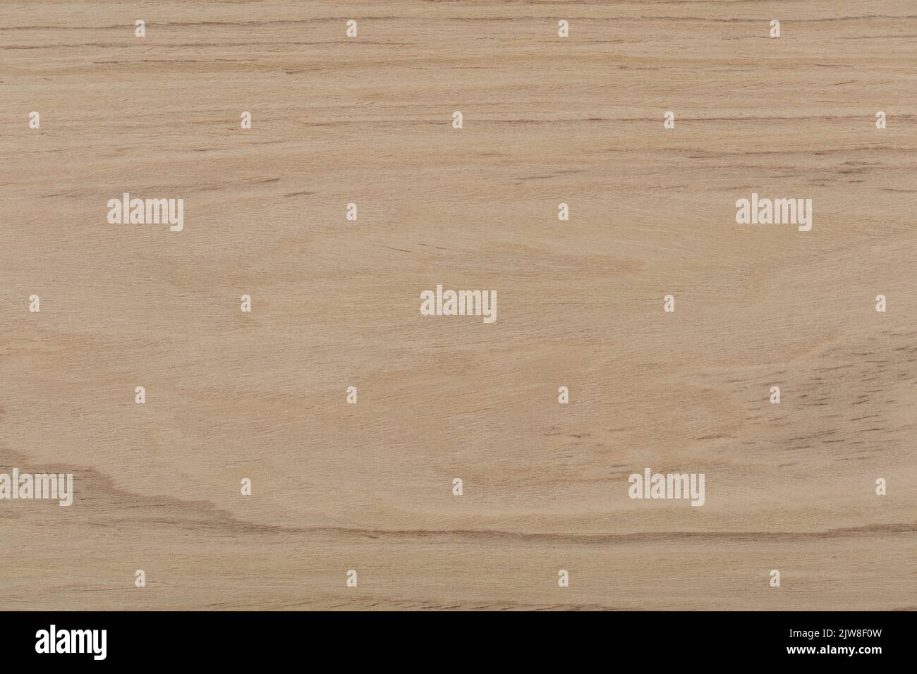 Perfect light beige oak veneer background for design. Wooden texture ...