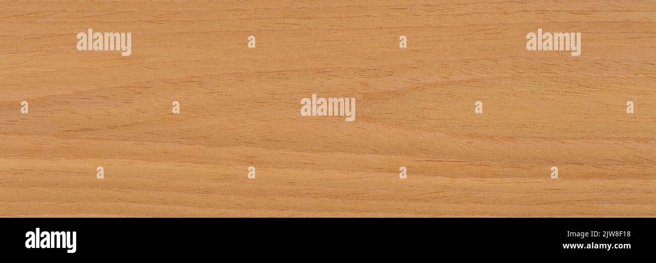 Oak veneer background in natural beige color. Natural wood texture ...