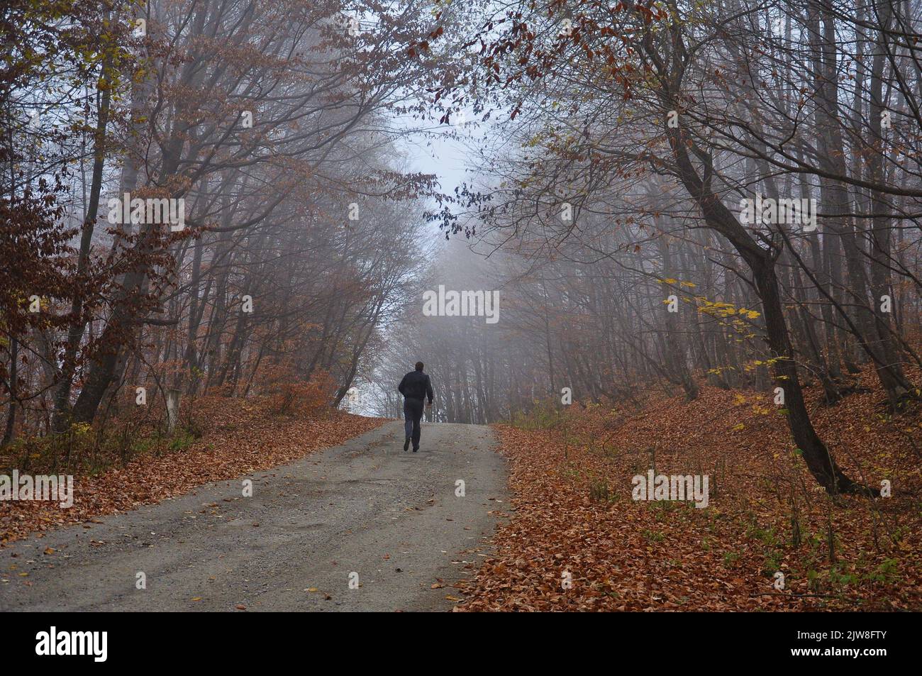 A male from behind running on a narrow road in a forest during autumn ...