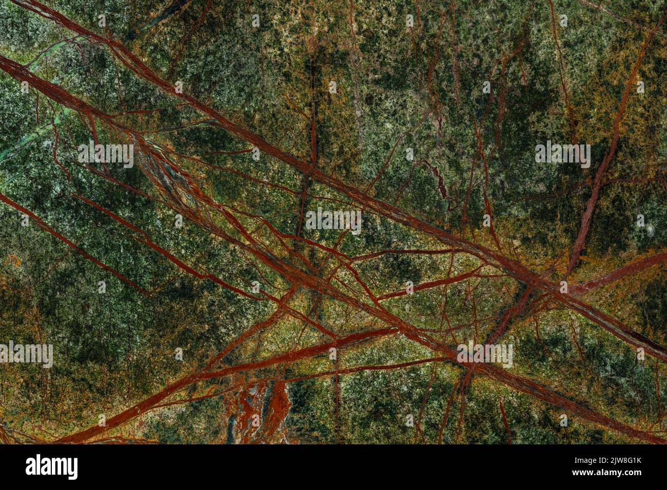 Bidasar Green Marble background, elegant texture for home interior ...