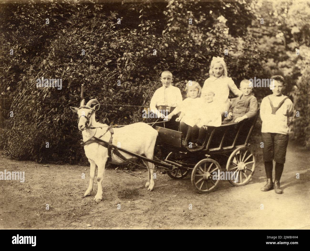 Portrait of (presumably) some children from the Dorresteijn family in a ...