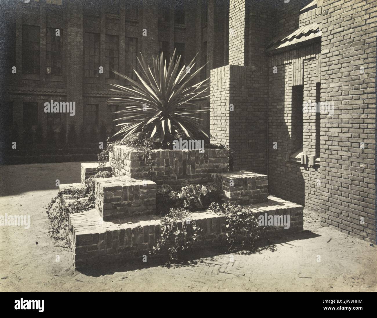 Image of one of the planters in the courtyard of the 3rd administration ...
