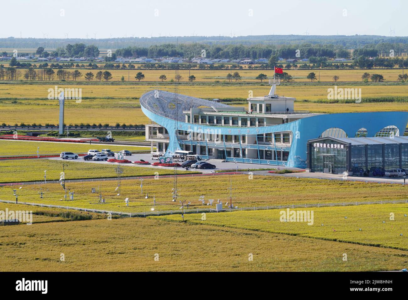 Rice paddy water saving hi-res stock photography and images - Alamy
