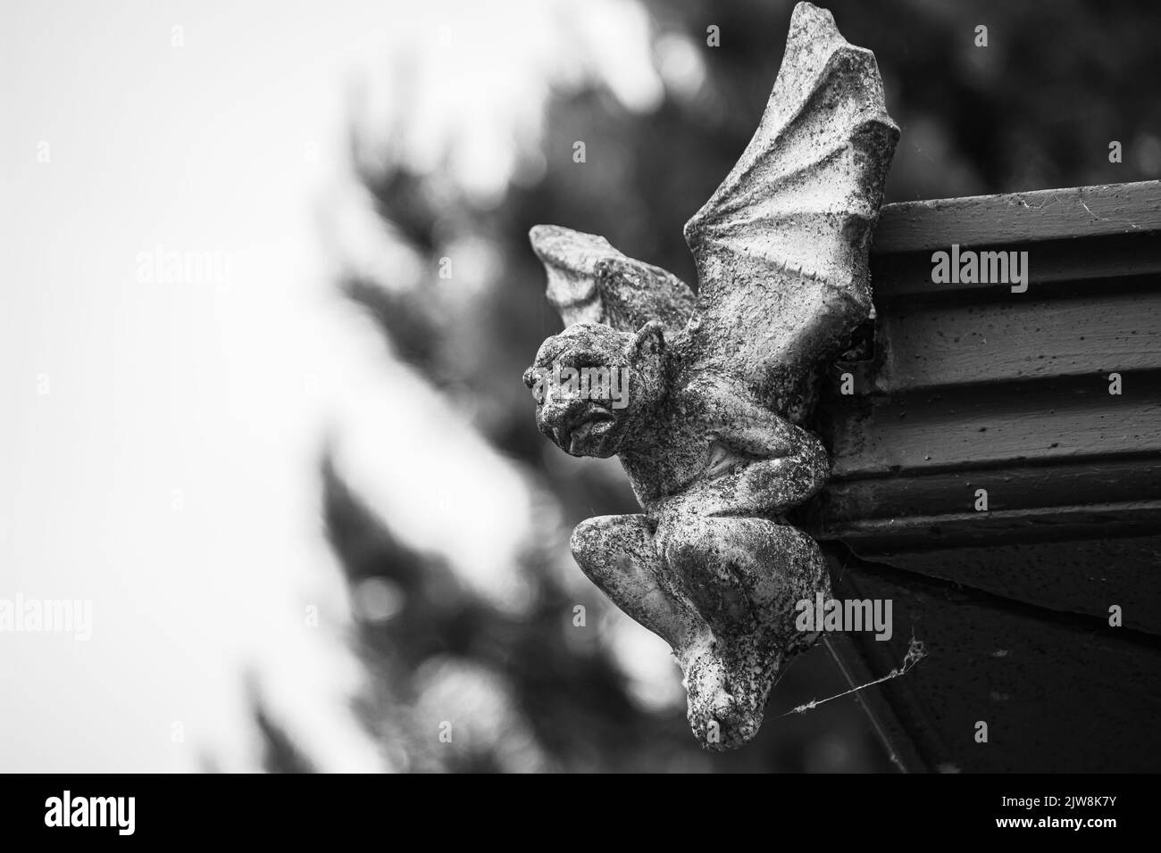 A black and white closeup of a gargoyle with blurred background Stock ...