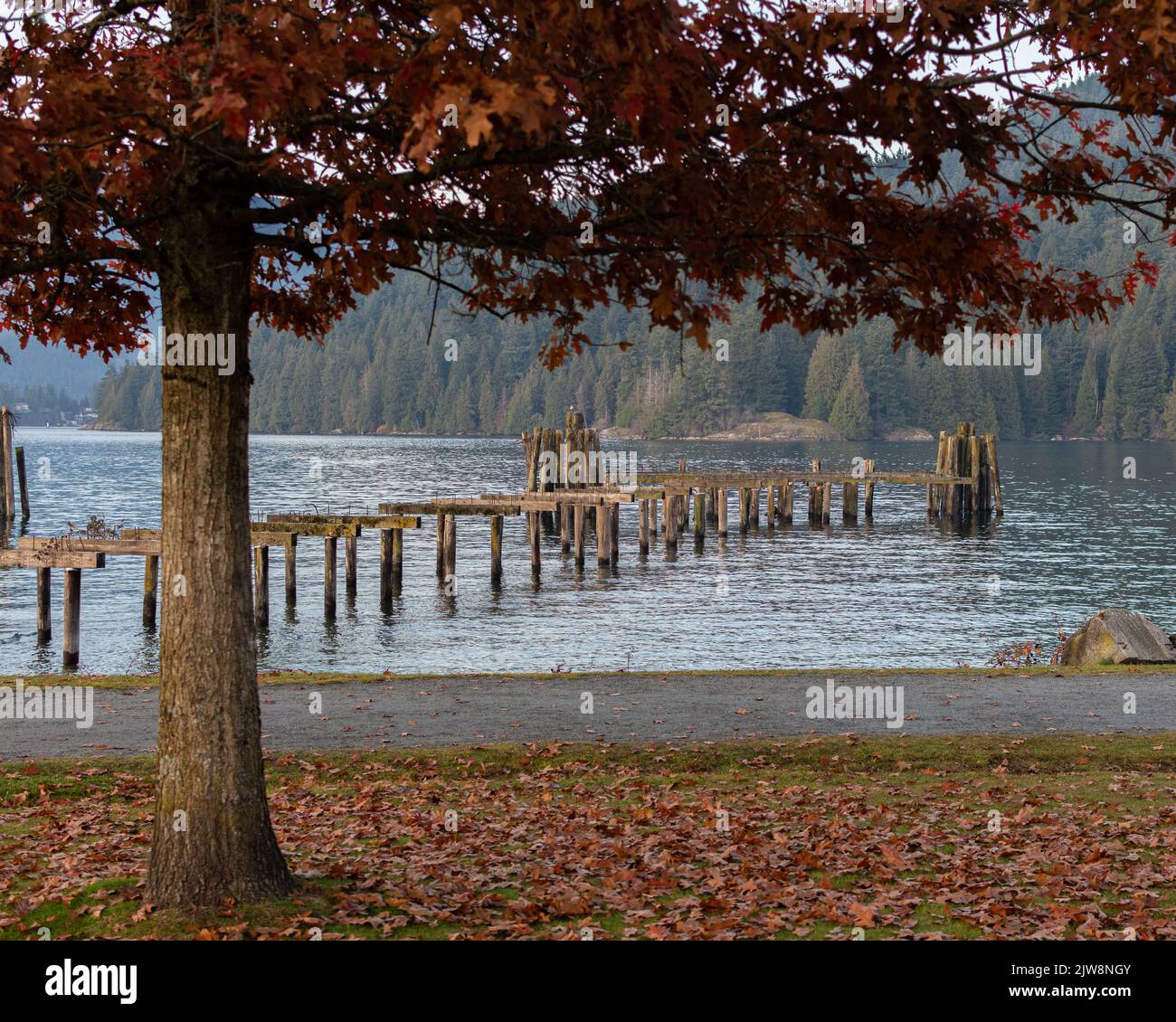 Burnaby marine park hi-res stock photography and images - Alamy
