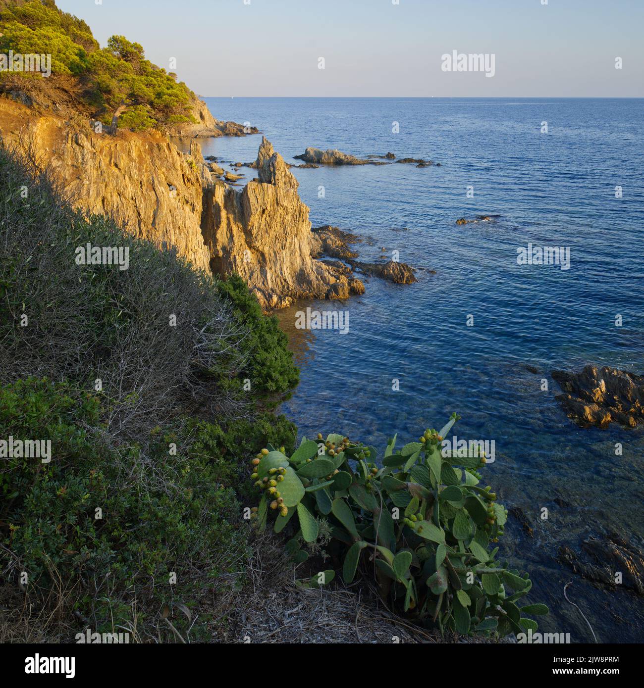 Coastal landscape of Hyeres and Presqu'iles de Giens at sunset, France ...