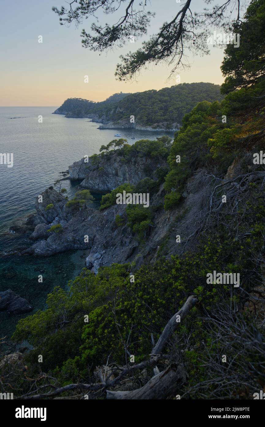 Coastal landscape of Hyeres and Presqu'iles de Giens at sunset, France ...