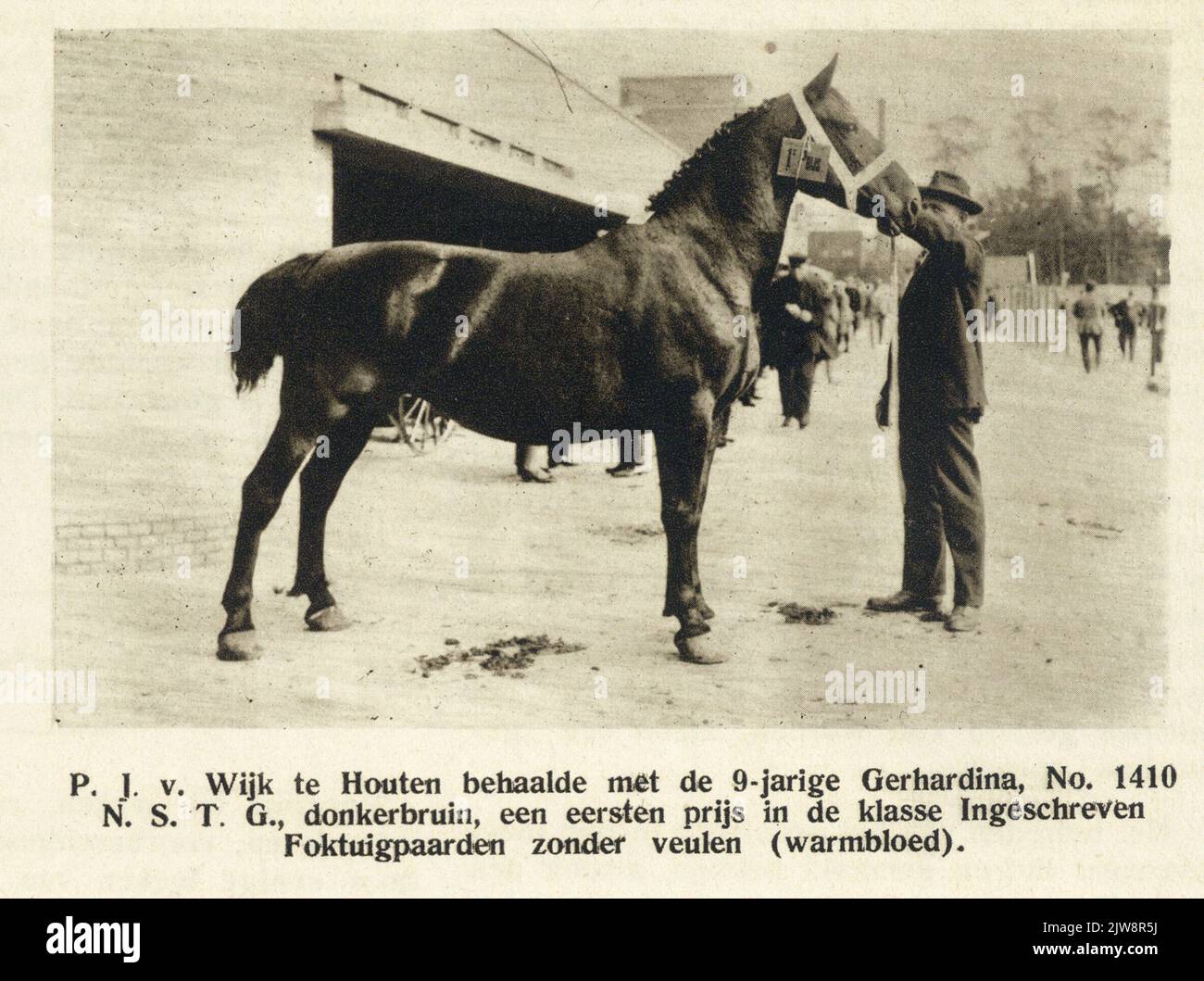 P.J. v. Wijk te Houten won a first prize in the class-registered ...