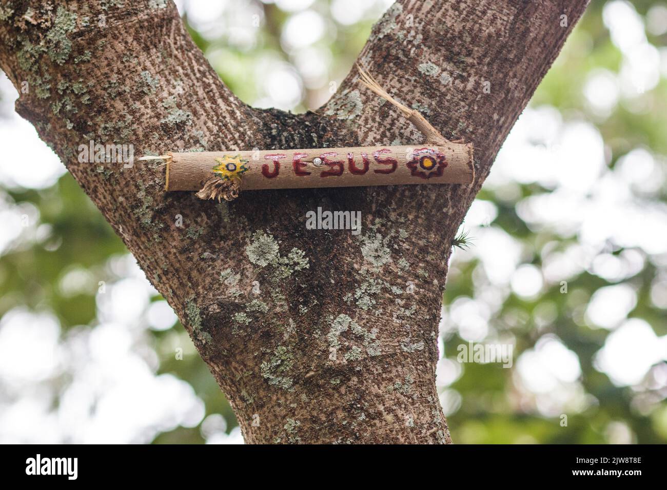 sign stuck in a tree written ( Jesus ) from Rio de Janeiro Stock Photo ...