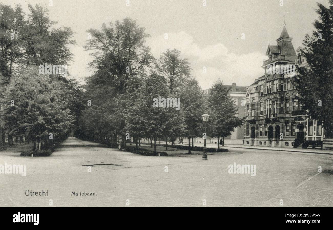 View in the Maliebaan in Utrecht Stock Photo - Alamy